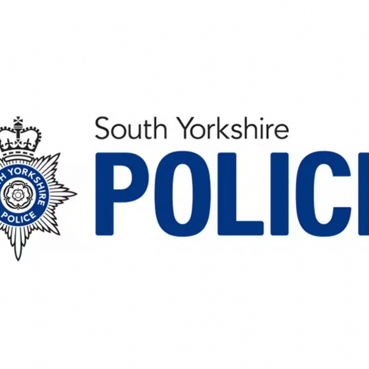 Chaucer School - Advice and support from SYP