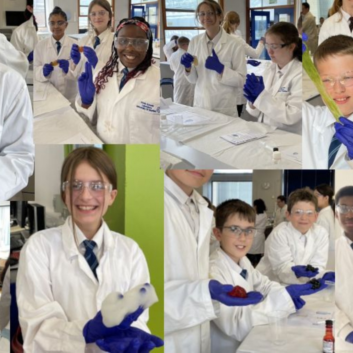 Chaucer School - Year 7 – Sir Harry Kroto Day Visit to The University ...